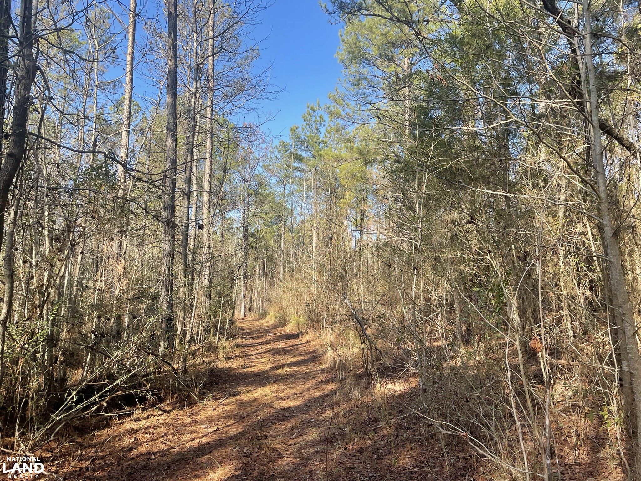 Mulberry Road Homesite, Hunting, Timber Tract in Lamar County, Alabama ...
