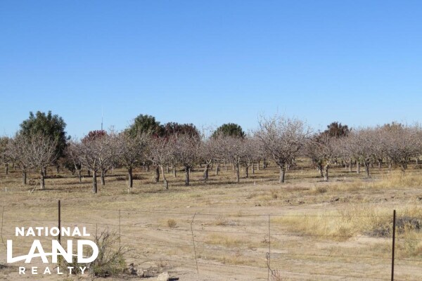San Simon, AZ 43 acres with 5 acres of Pistachio Trees off pavement in ...