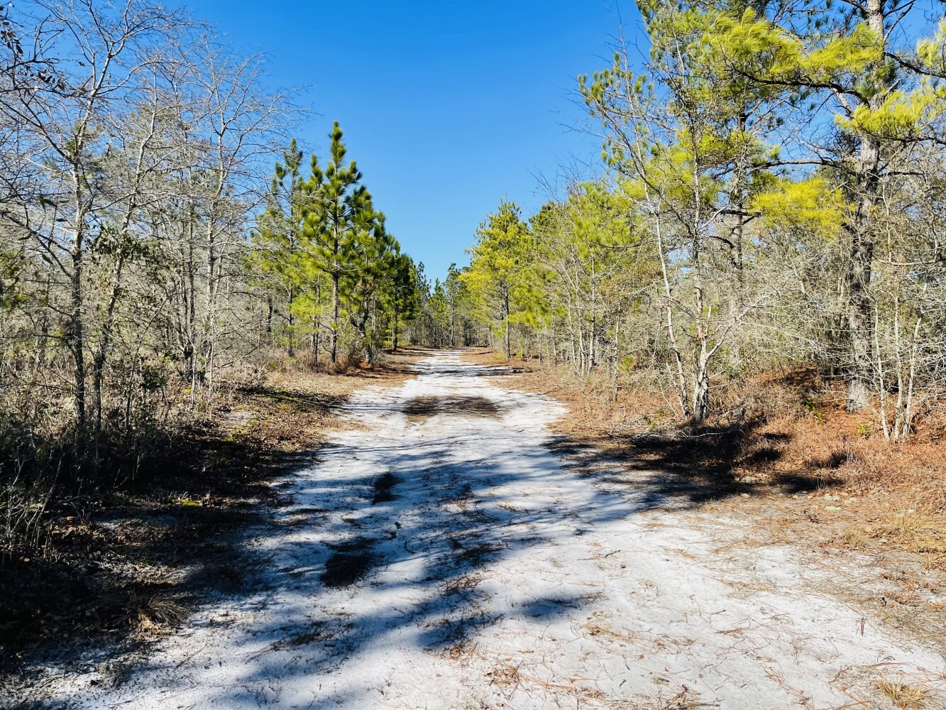 Harrells 232. in Sampson County, North Carolina (12 Photos) | National ...