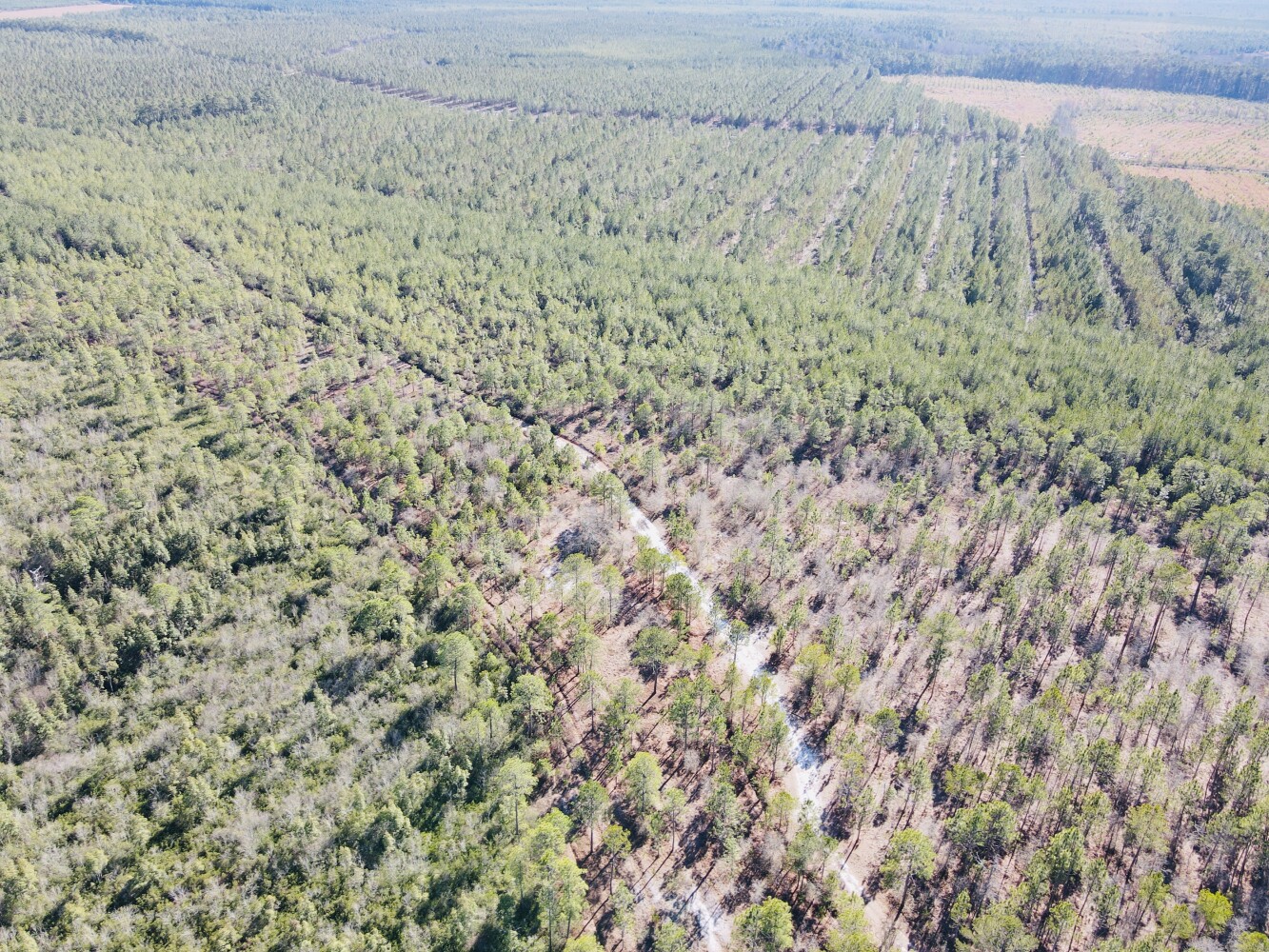 Harrells 232. in Sampson County, North Carolina (12 Photos) | National ...
