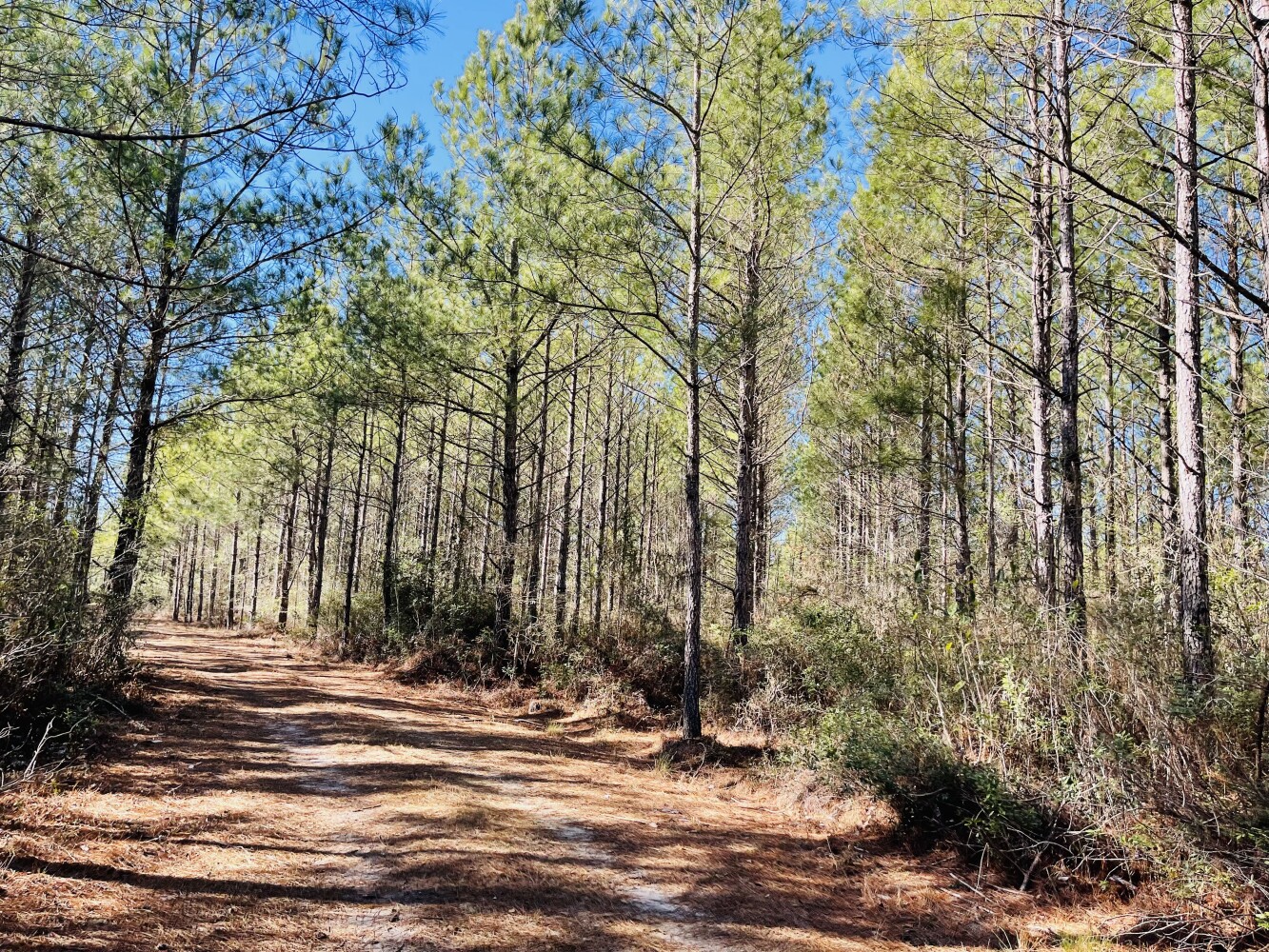 Harrells 232. in Sampson County, North Carolina (12 Photos) | National ...