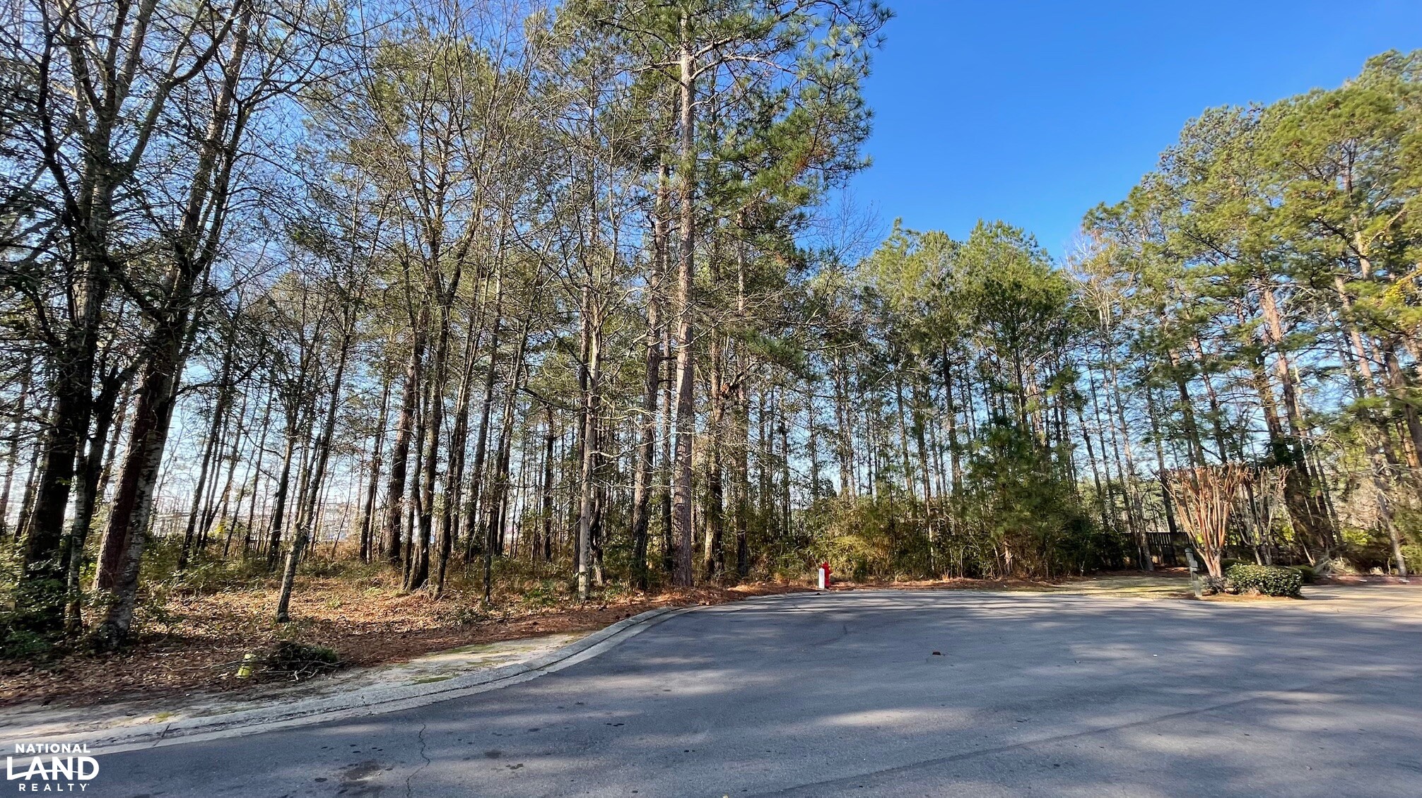 Canebrake Gated Subdivision Lot in Lamar County, Mississippi (11 Photos ...