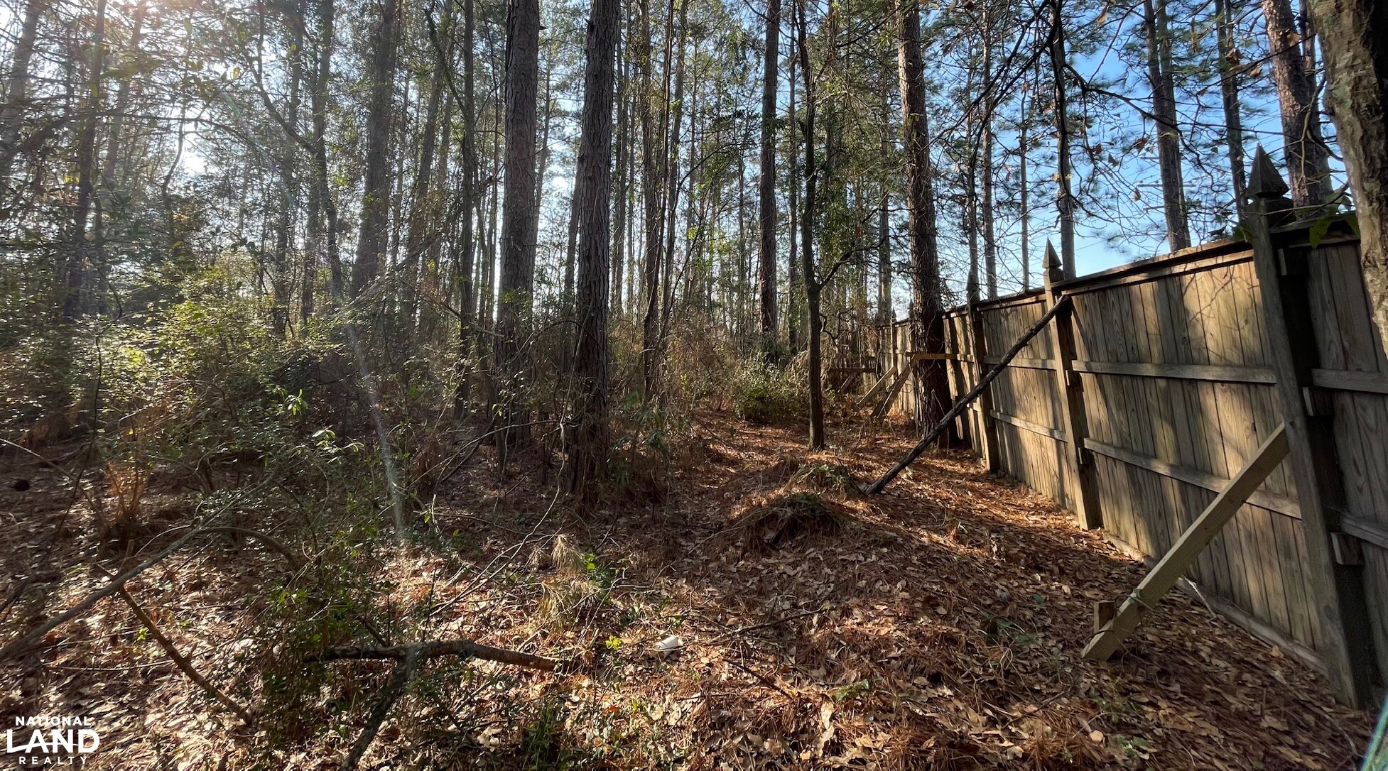 Canebrake Gated Subdivision Lot in Lamar County, Mississippi (11 Photos ...