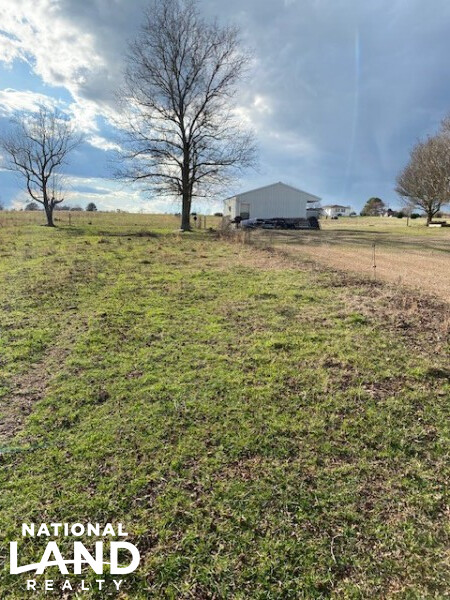 Perfect Homestead - Beautiful Pasture Land in DeKalb County, Alabama ...