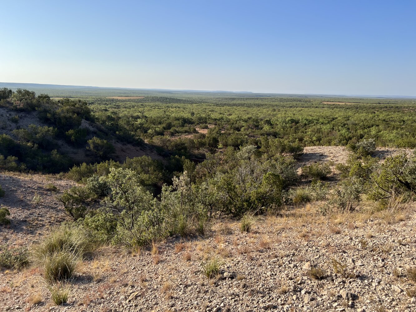Rugged Canyon Vista Ranch in Mitchell County, Texas (98 Photos ...