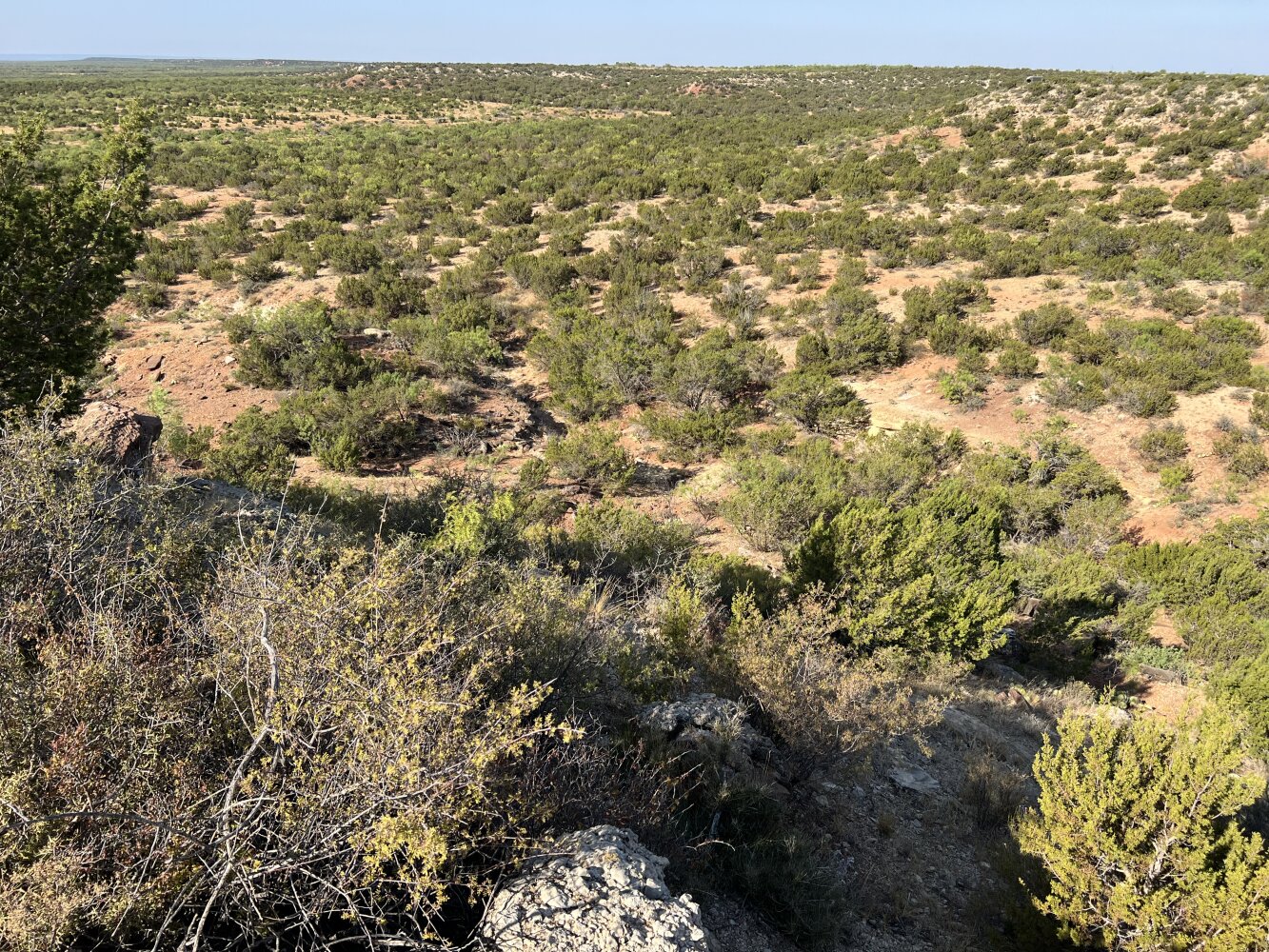 Rugged Canyon Vista Ranch in Mitchell County, Texas (98 Photos ...