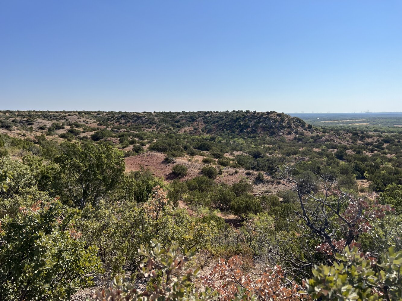 Rugged Canyon Vista Ranch in Mitchell County, Texas (98 Photos ...