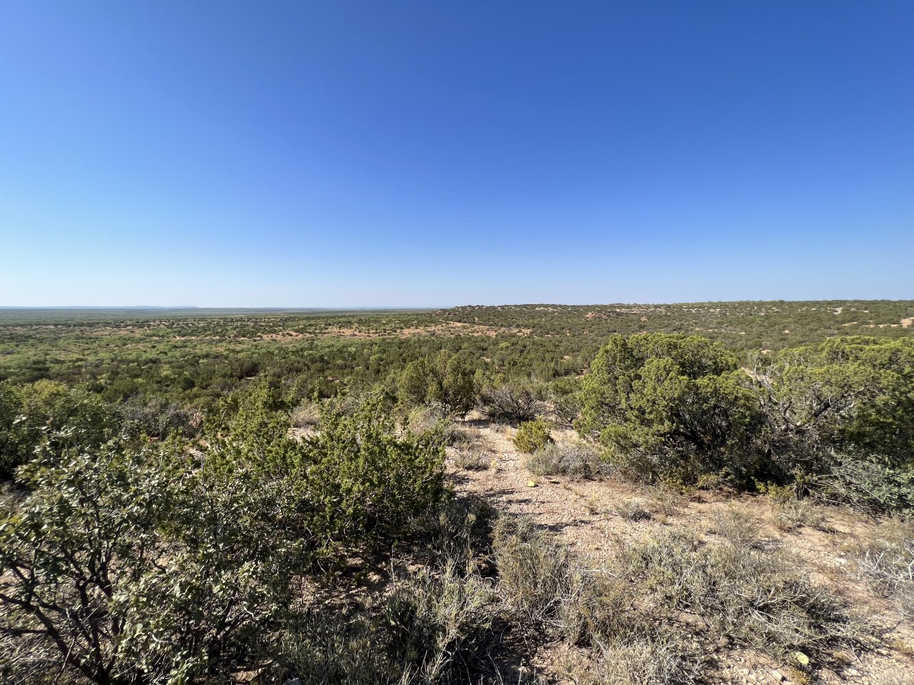 Rugged Canyon Vista Ranch in Mitchell County, Texas (98 Photos ...