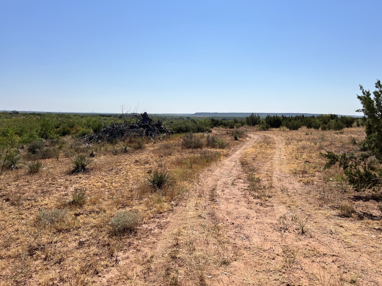 Rugged Canyon Vista Ranch in Mitchell County, Texas (98 Photos ...