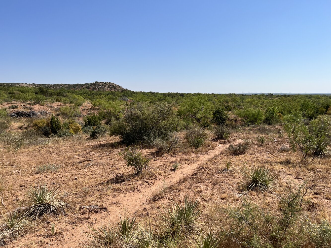 Rugged Canyon Vista Ranch in Mitchell County, Texas (98 Photos ...