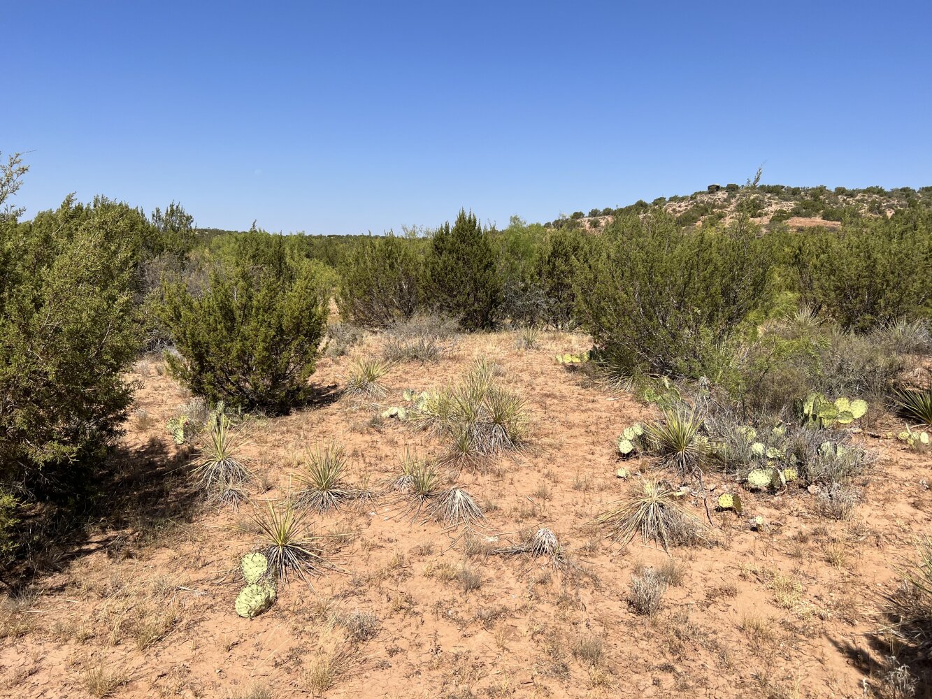 Rugged Canyon Vista Ranch in Mitchell County, Texas (98 Photos ...