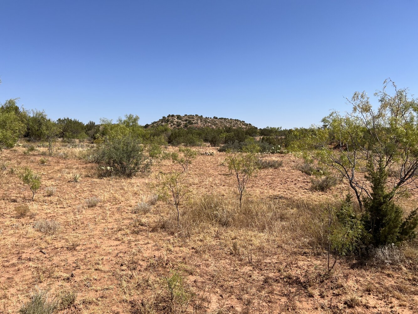Rugged Canyon Vista Ranch in Mitchell County, Texas (98 Photos ...
