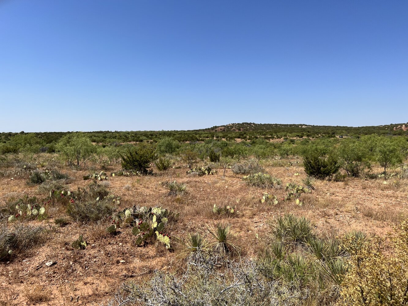 Rugged Canyon Vista Ranch in Mitchell County, Texas (98 Photos ...