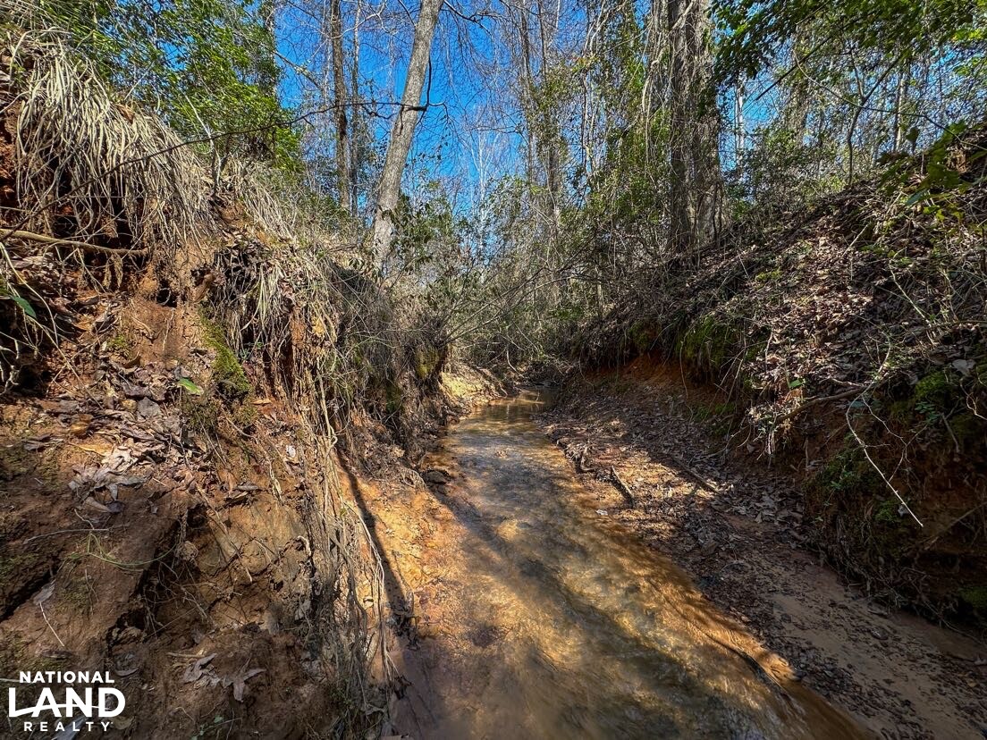 Autauga Co Hunting And Timber Farm in Autauga County, Alabama (68 ...