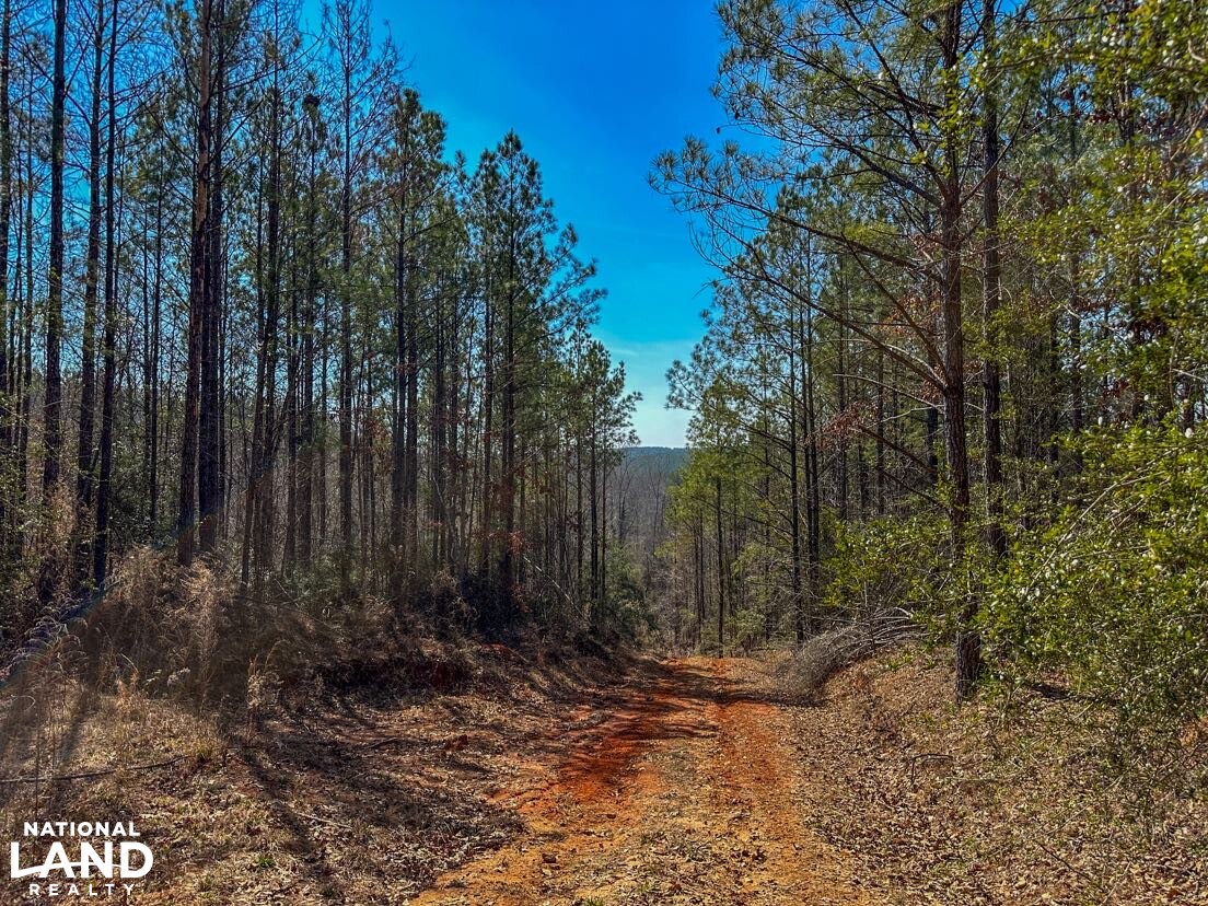 Autauga Co Hunting And Timber Farm in Autauga County, Alabama (68 ...