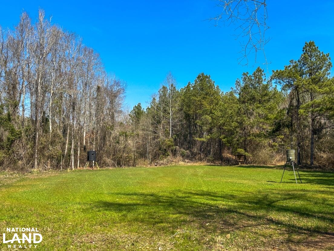 Autauga Co Hunting And Timber Farm in Autauga County, Alabama (68 ...