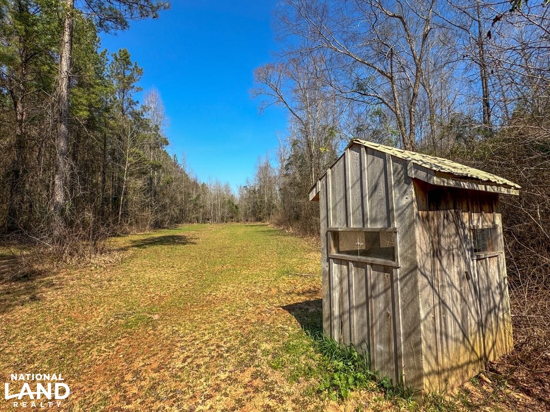 Autauga Co Hunting And Timber Farm in Autauga County, Alabama (68 ...