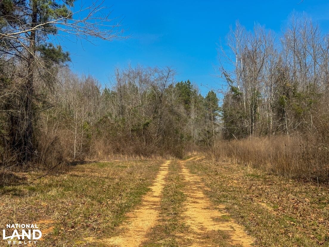 Autauga Co Hunting And Timber Farm in Autauga County, Alabama (68 ...