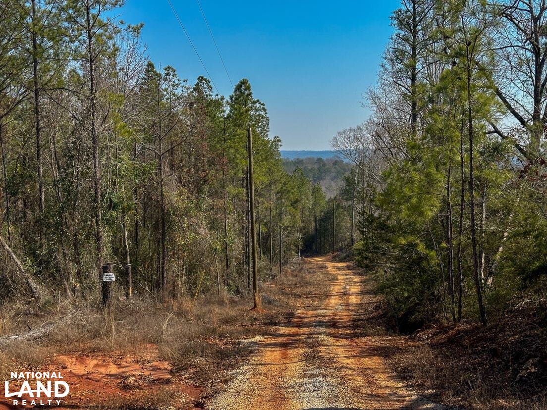 Autauga Co Hunting And Timber Farm in Autauga County, Alabama (68 ...