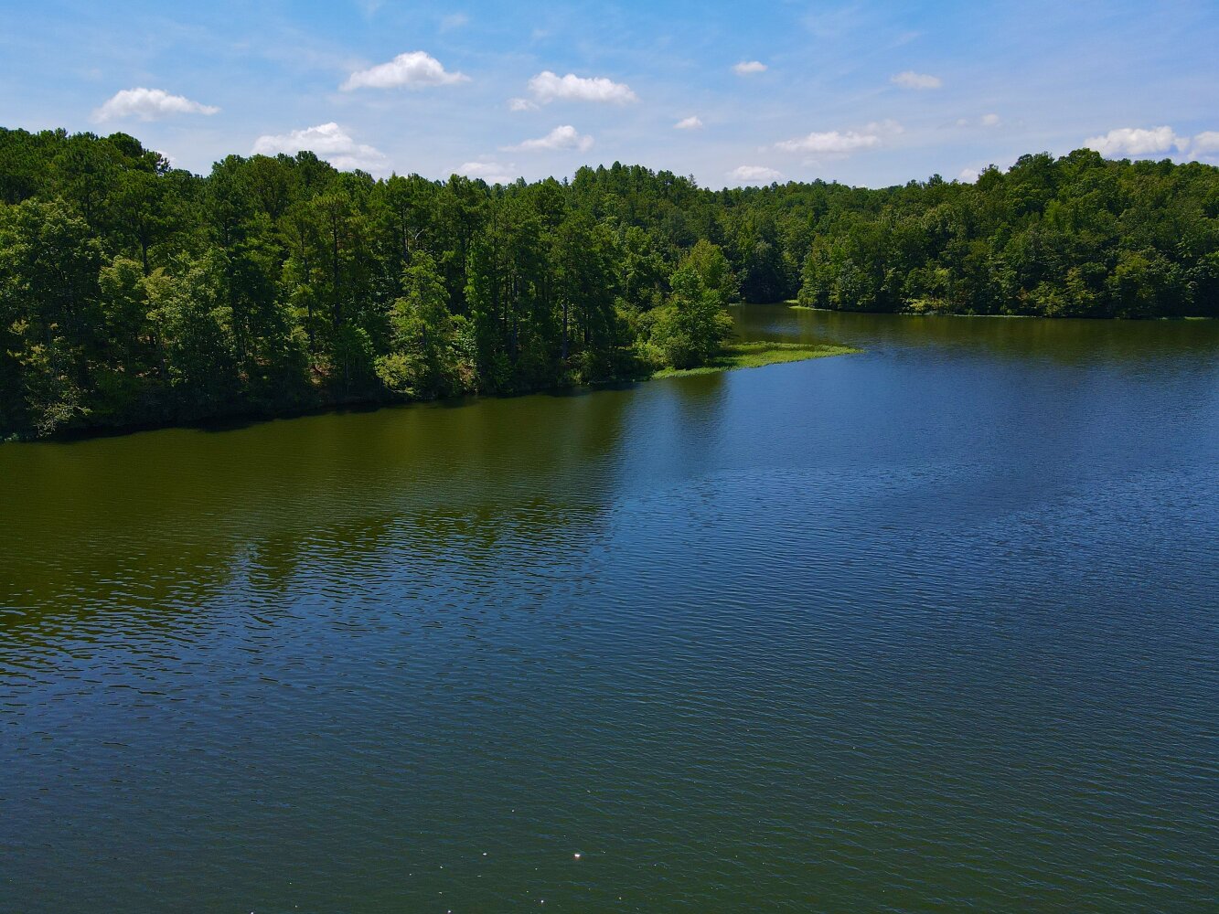 Lay Lake Development, Timber & Recreation in Talladega County, Alabama ...