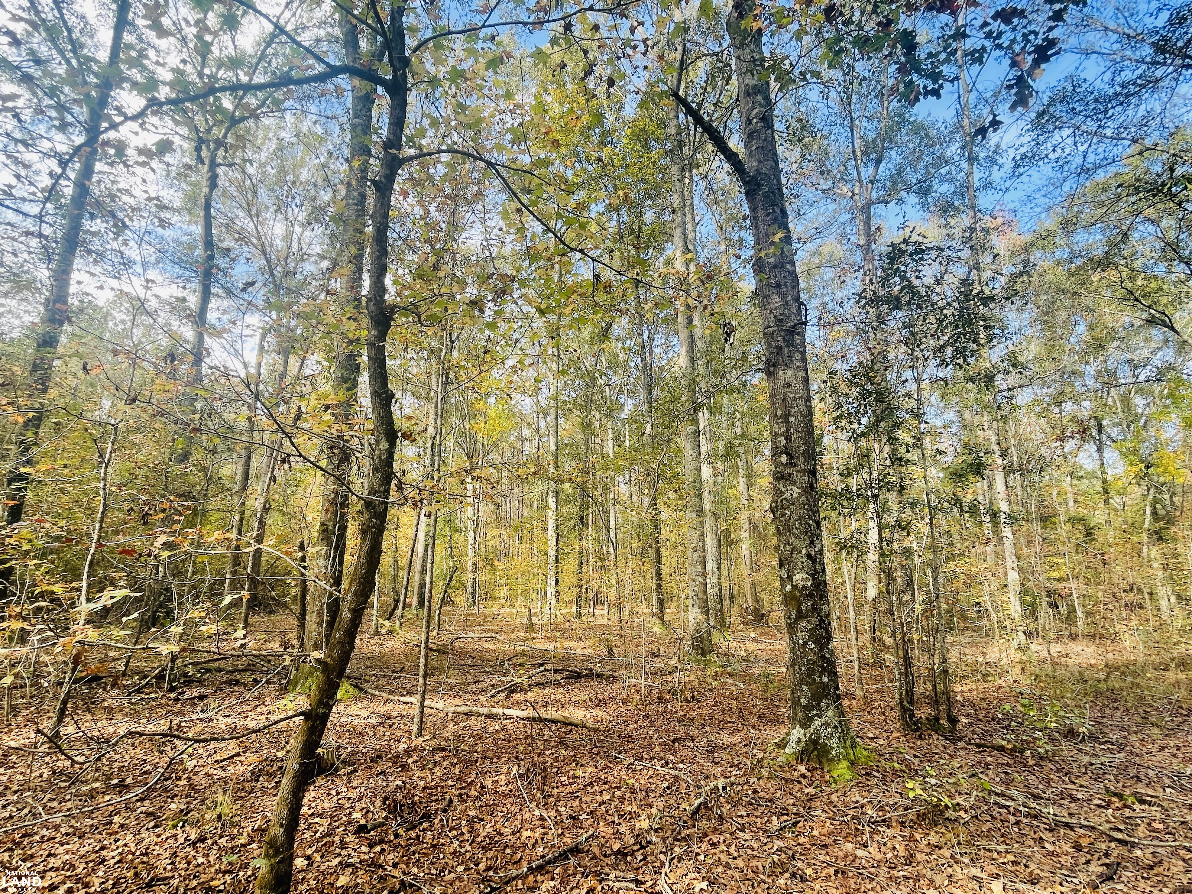 Hwy 331 Recreational and Home Site Tract in Montgomery County, Alabama ...
