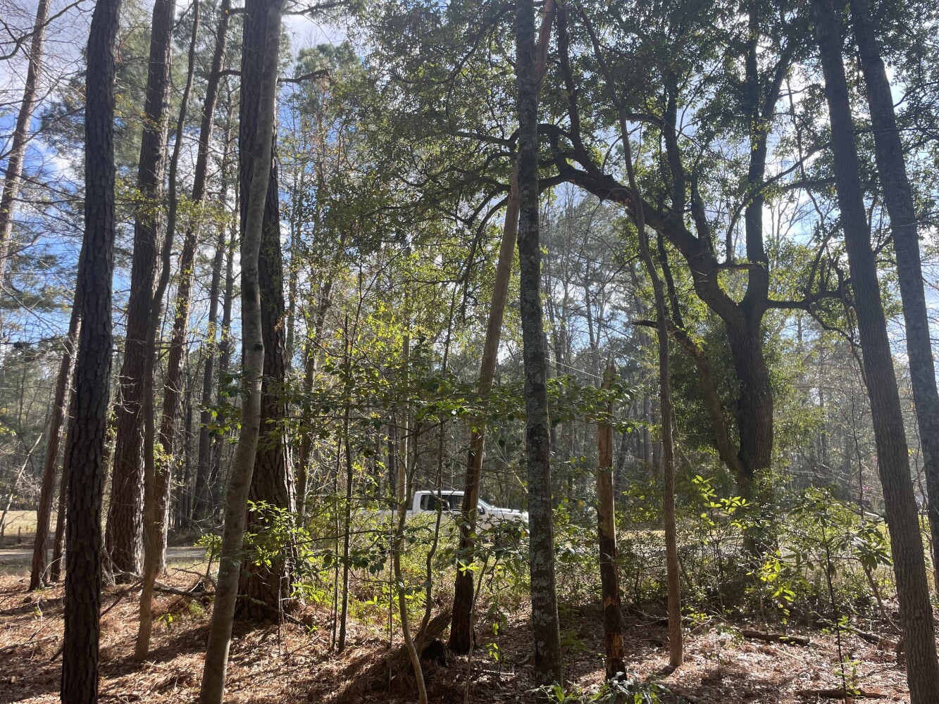 Pinopolis Area Homesite 2 in Berkeley County, South Carolina (8 Photos ...