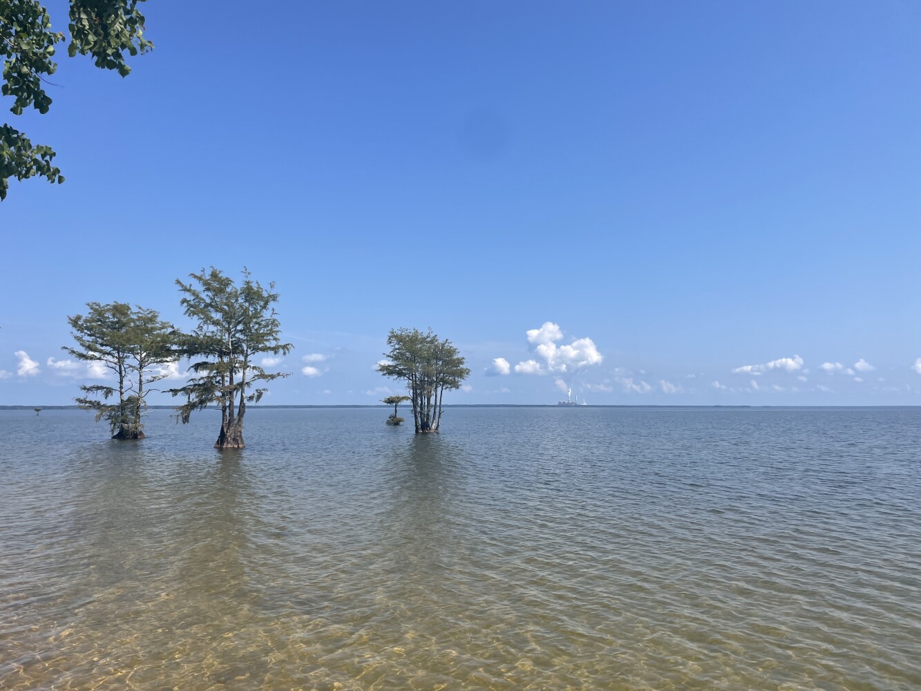 Pinopolis Area Homesite 2 in Berkeley County, South Carolina (8 Photos ...