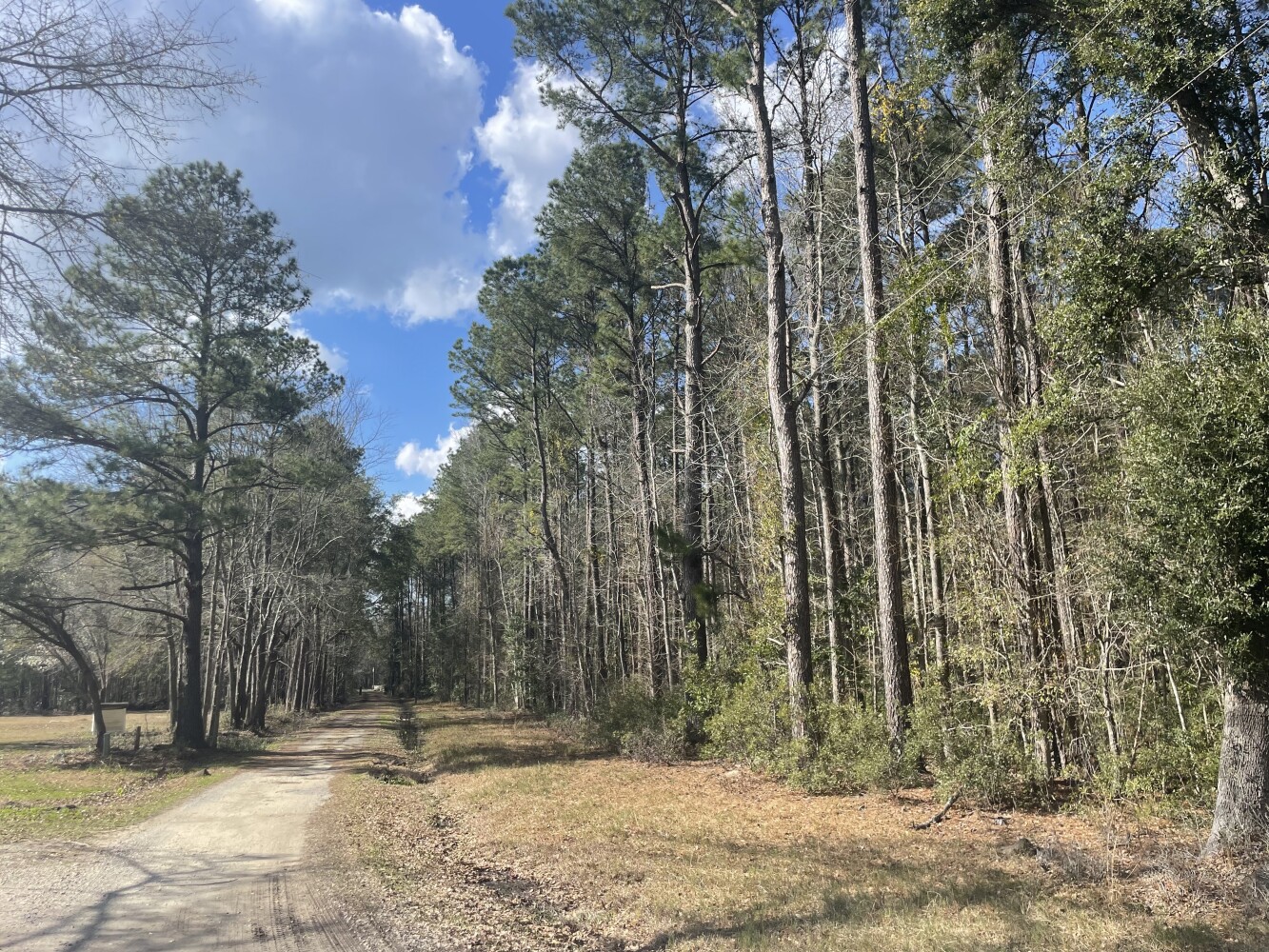 Pinopolis Area Homesite 2 in Berkeley County, South Carolina (8 Photos ...