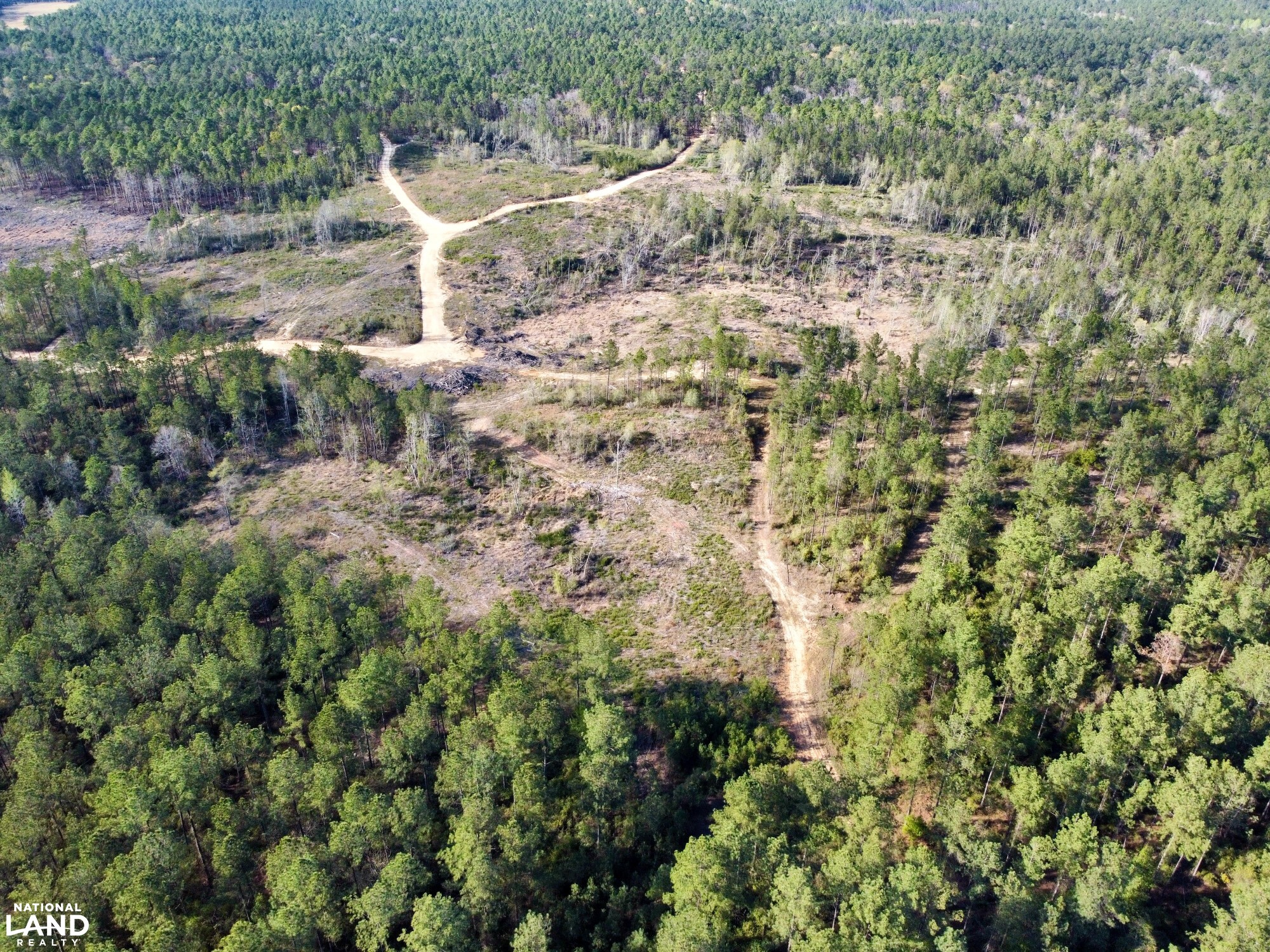 Tibbie Highway 17 Timber and Hunting Tract in Washington County ...