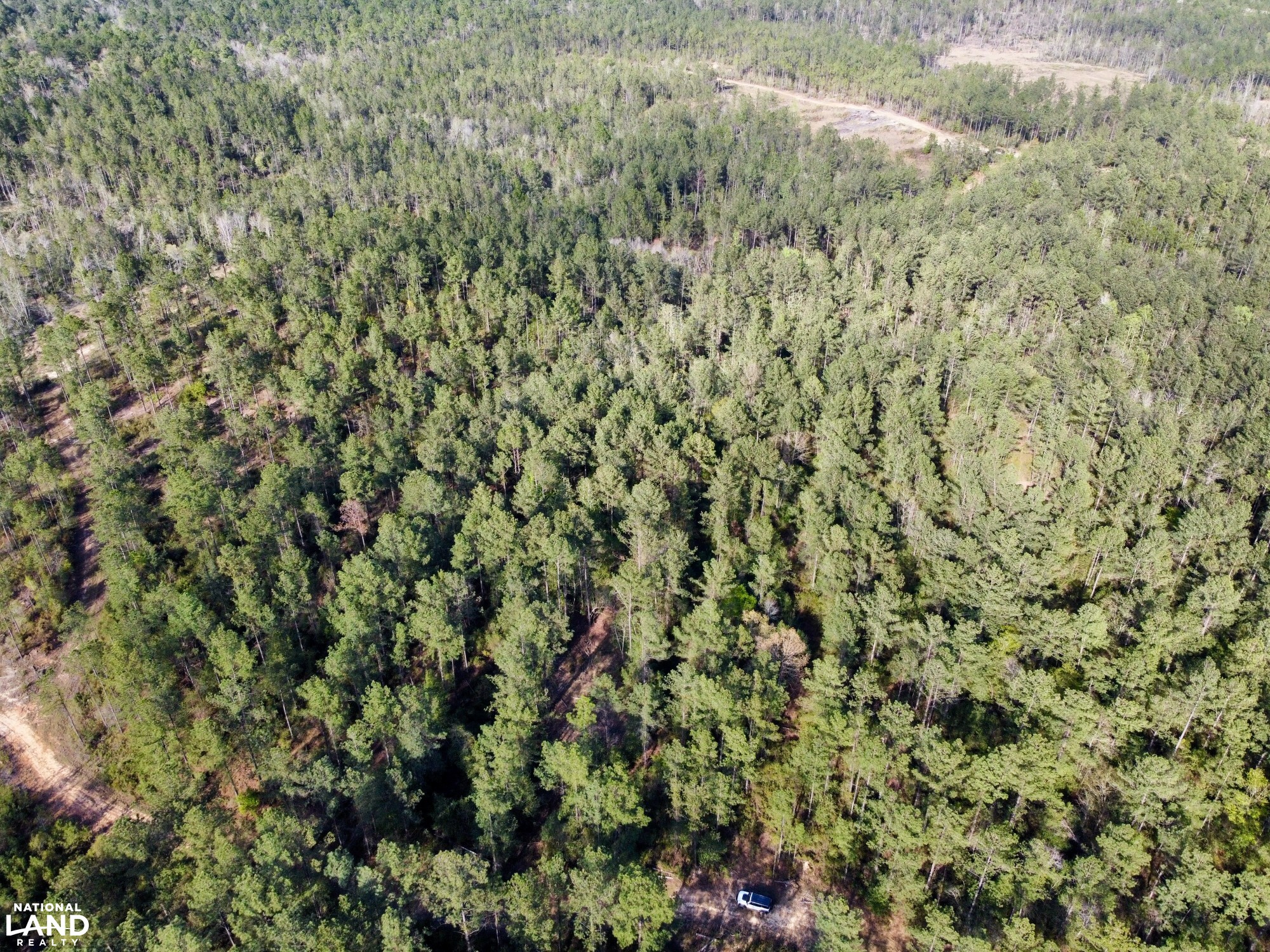 Tibbie Highway 17 Timber and Hunting Tract in Washington County ...