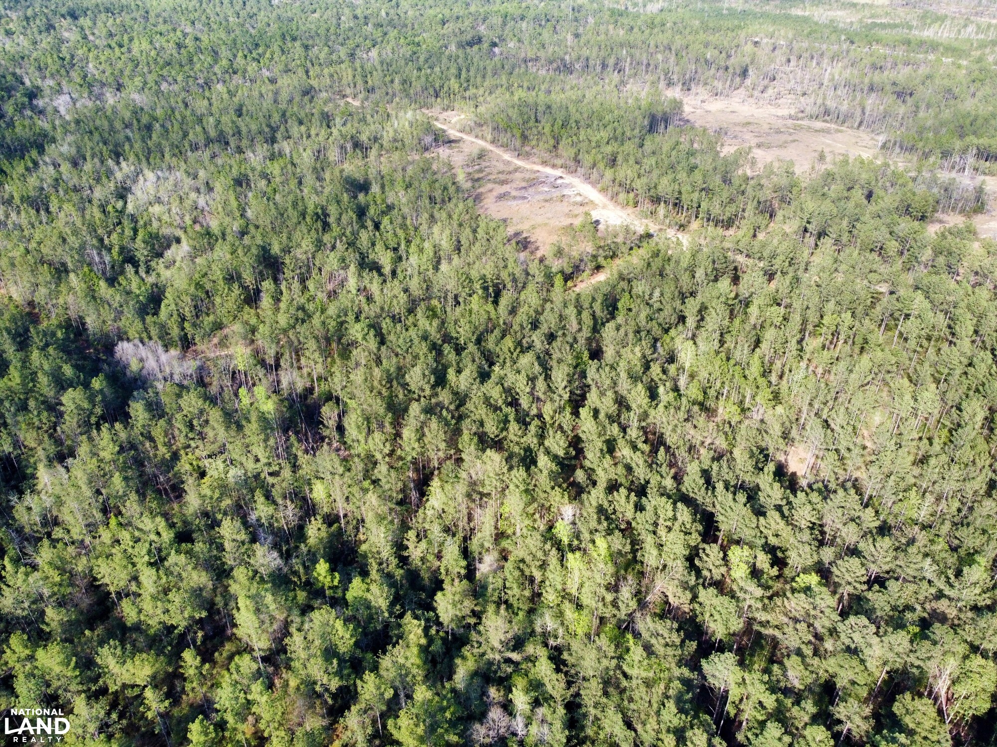 Tibbie Highway 17 Timber and Hunting Tract in Washington County ...