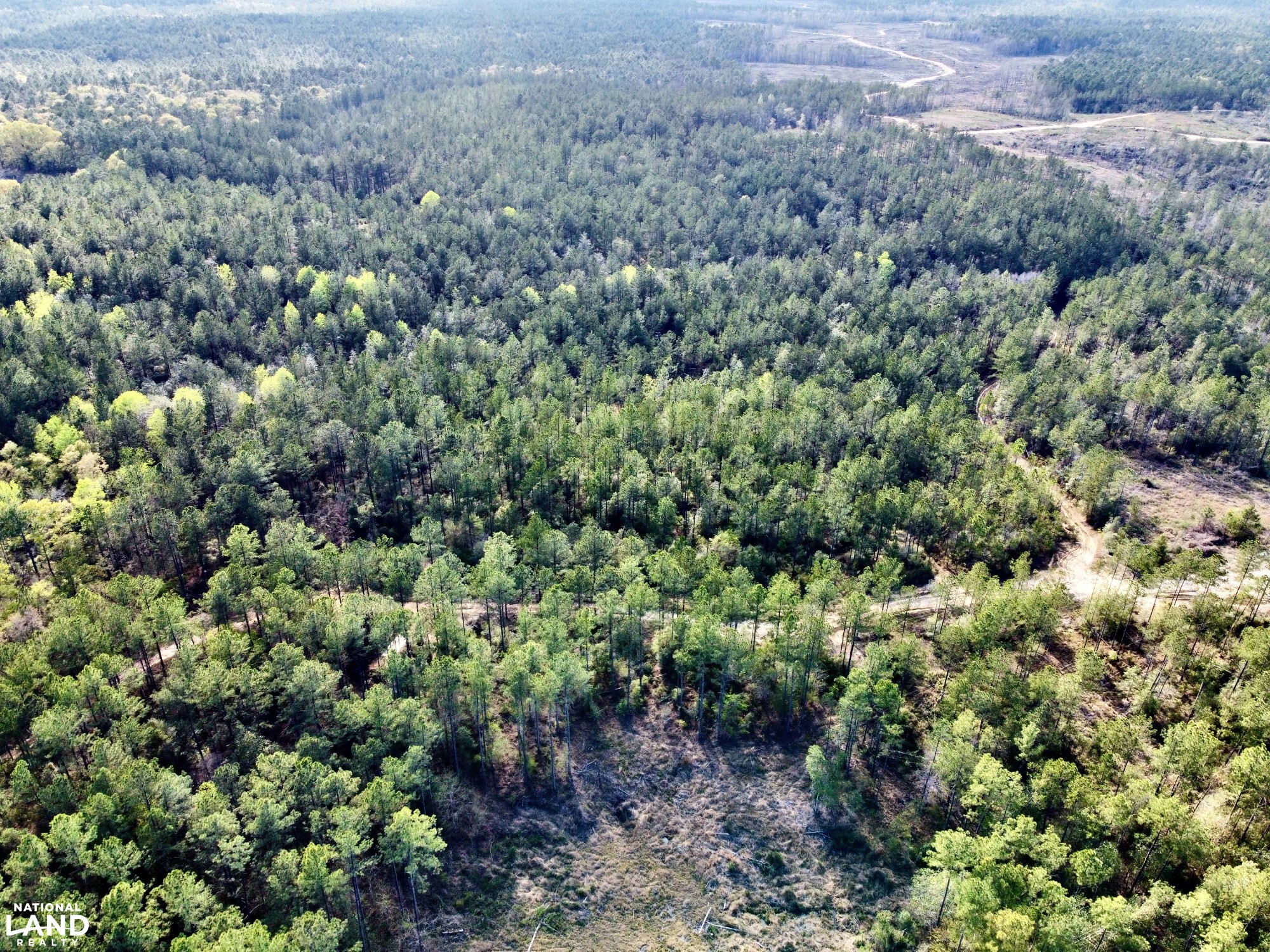 Tibbie Highway 17 Timber and Hunting Tract in Washington County ...