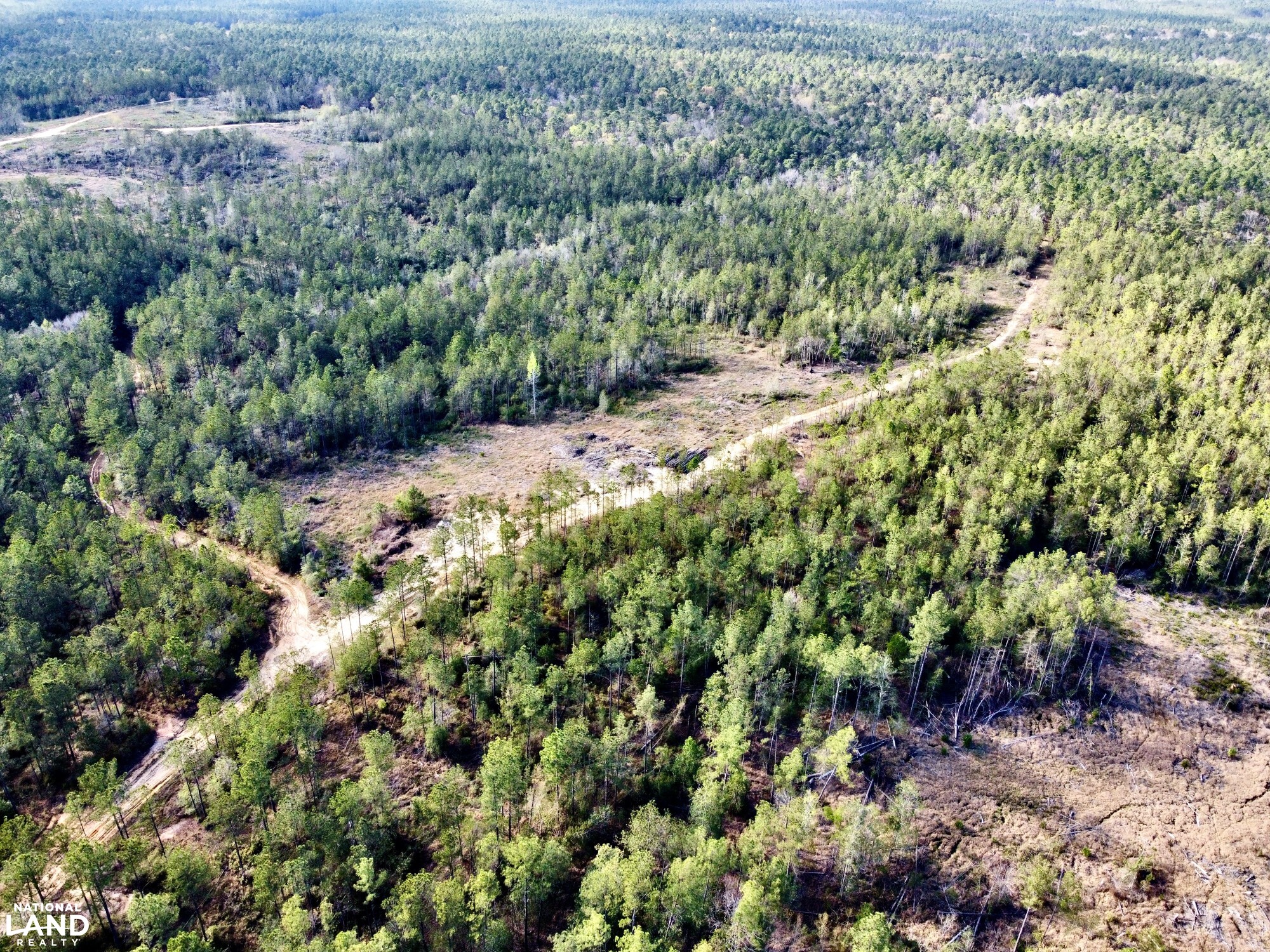 Tibbie Highway 17 Timber and Hunting Tract in Washington County ...