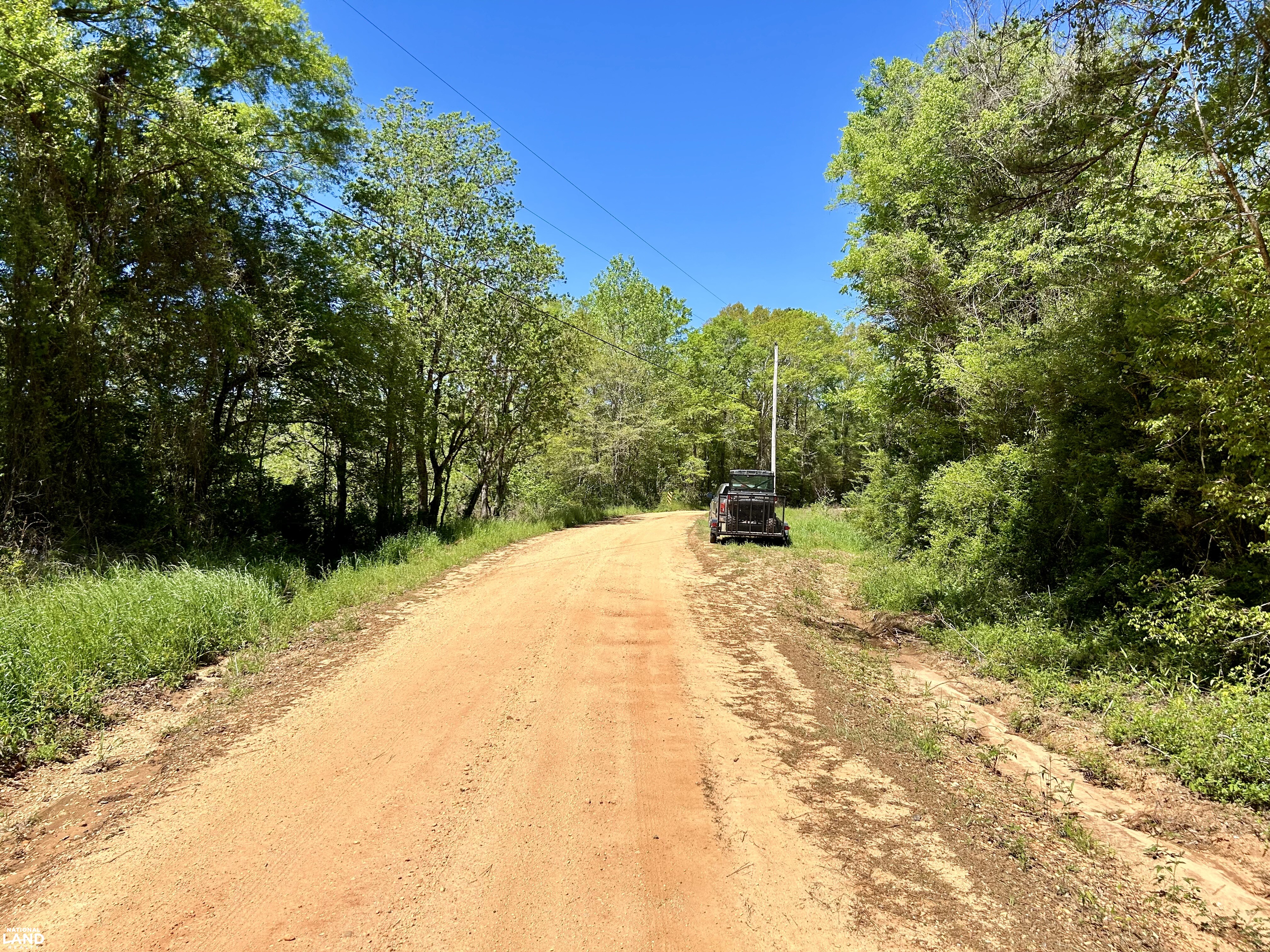 JP Howard Road Tract in Conecuh County, Alabama (37 Photos) | National ...
