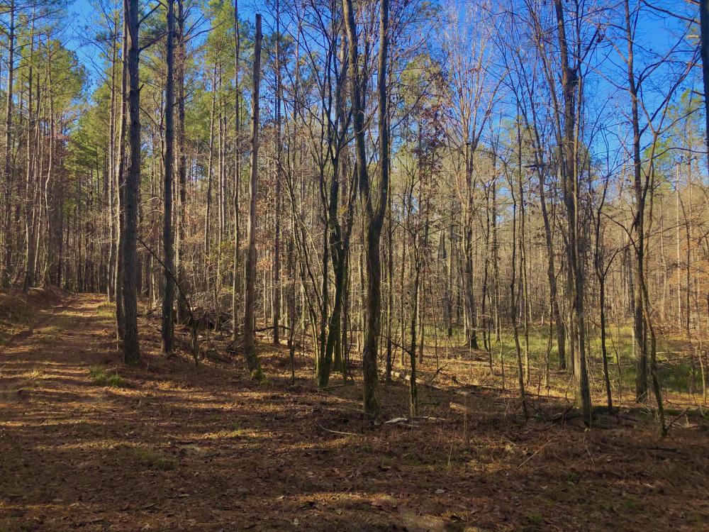 Sterrett Recreation & Homesite in Shelby County, Alabama (19 Photos ...