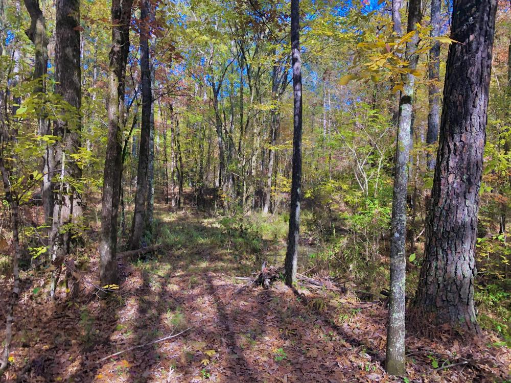 Sterrett Recreation & Homesite in Shelby County, Alabama (19 Photos ...