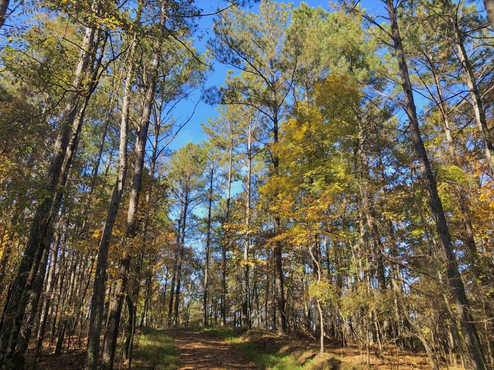 Sterrett Recreation & Homesite in Shelby County, Alabama (19 Photos ...