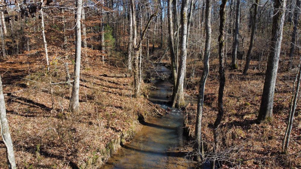 Sterrett Recreation & Homesite in Shelby County, Alabama (19 Photos ...