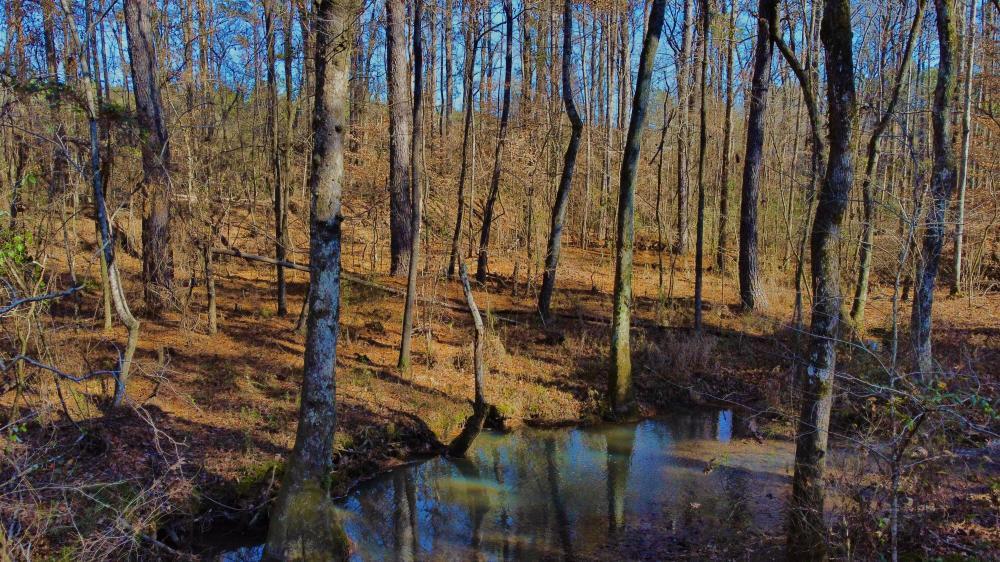 Sterrett Recreation & Homesite in Shelby County, Alabama (19 Photos ...