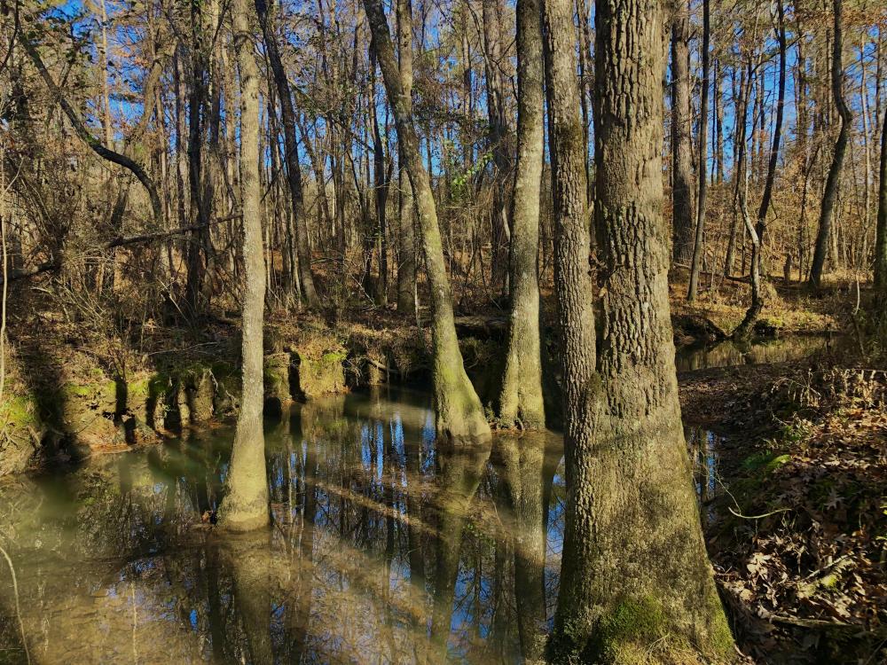 Sterrett Recreation & Homesite in Shelby County, Alabama (19 Photos ...