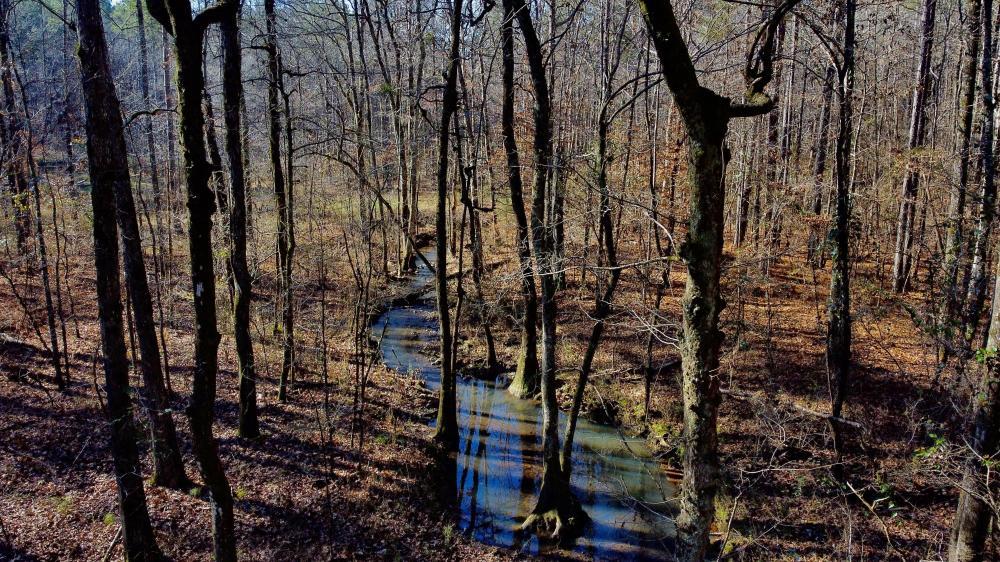 Sterrett Recreation & Homesite in Shelby County, Alabama (19 Photos ...