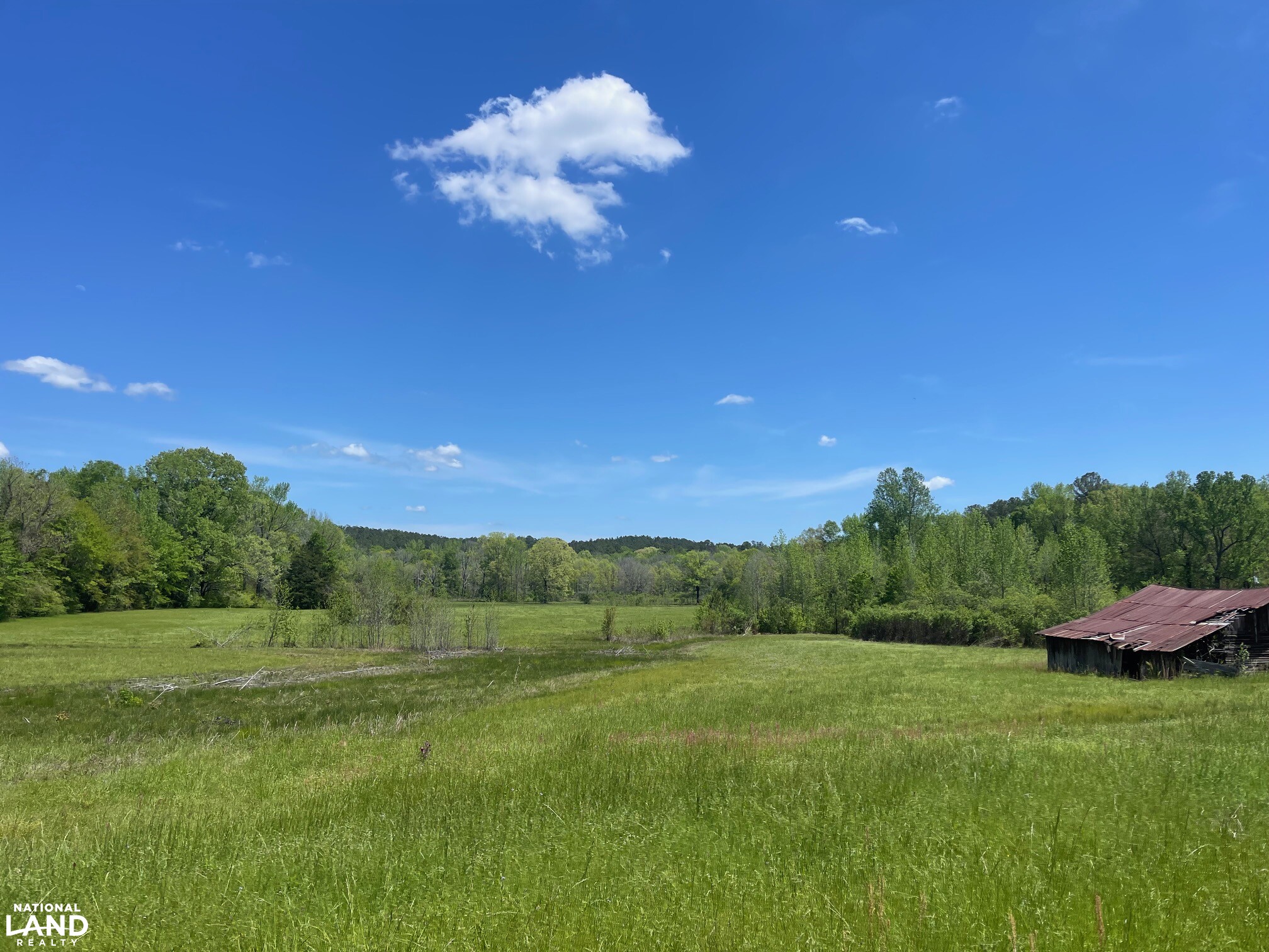 North Perry Homeplace and Pasture Land in Perry County, Alabama (9 ...
