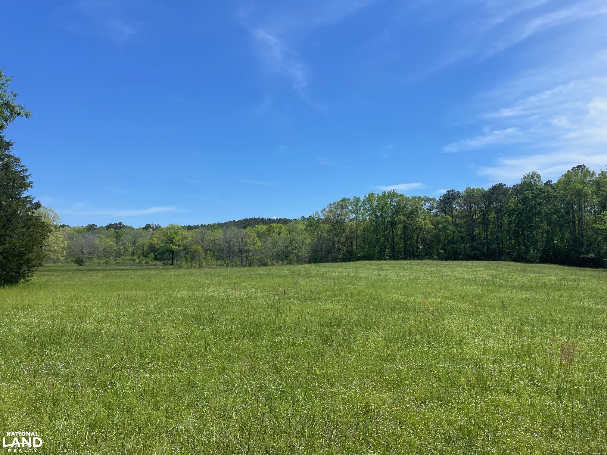 North Perry Homeplace and Pasture Land in Perry County, Alabama (9 ...
