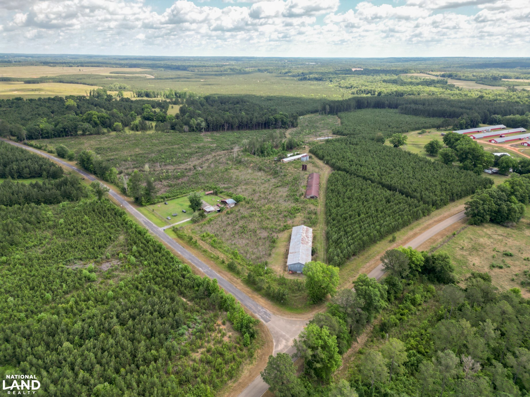 10 Shy Timber Farm and Recreational Tract in Henry County, Alabama (99 Photos) | National Land ...