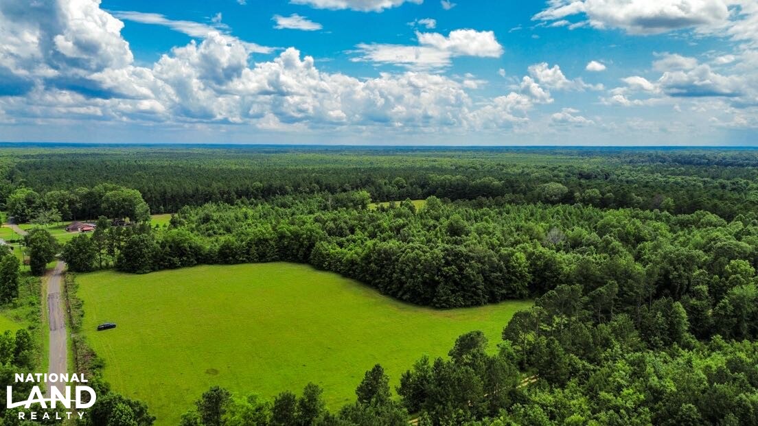 Marion Junction Honey Hole Property in Dallas County, Alabama (15 ...