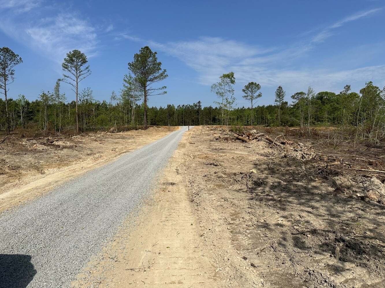Millport Homesite and Hunting Tract in Lamar County, Alabama (16 Photos ...