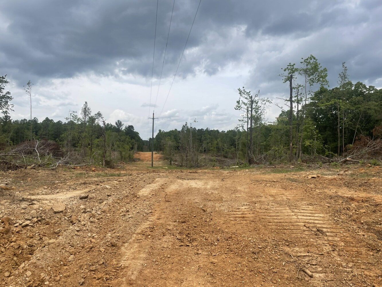 Millport Homesite and Hunting Tract in Lamar County, Alabama (16 Photos ...