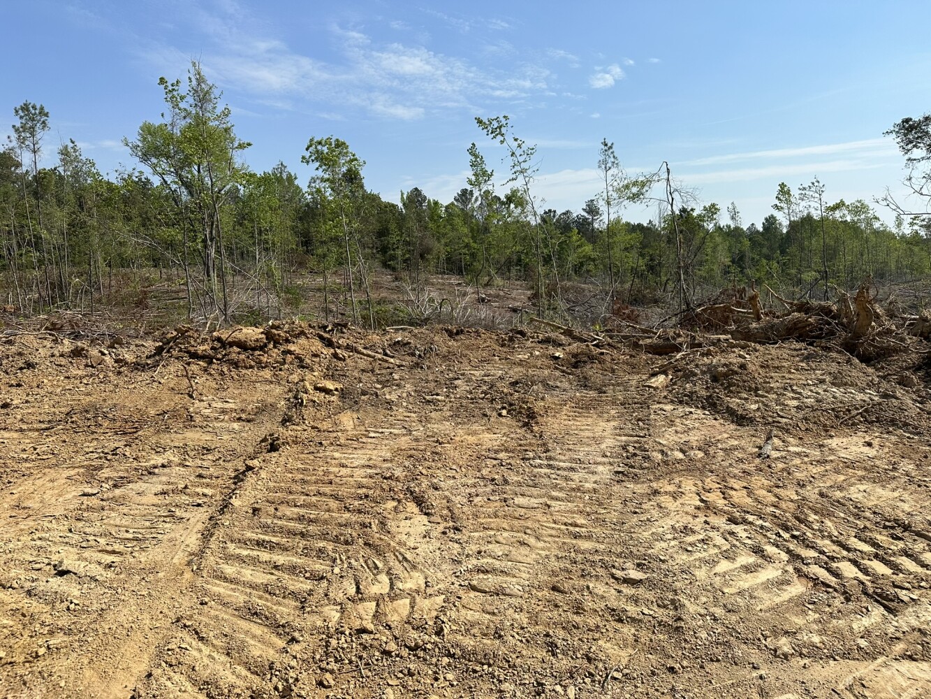 Millport Homesite and Hunting Tract in Lamar County, Alabama (16 Photos ...
