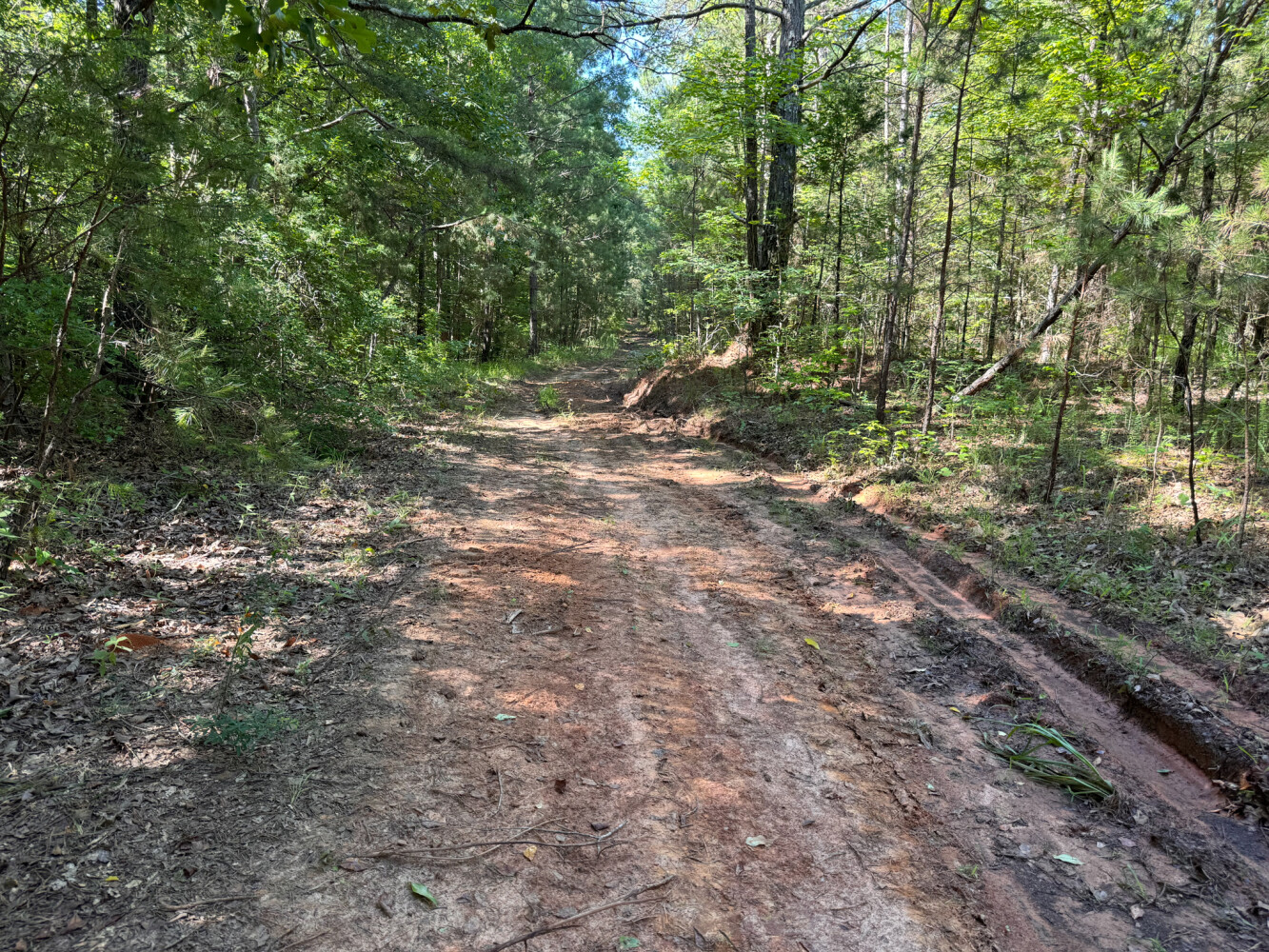 Tippah Co. Country Homesite Lot #4 in Tippah County, Mississippi (30 ...