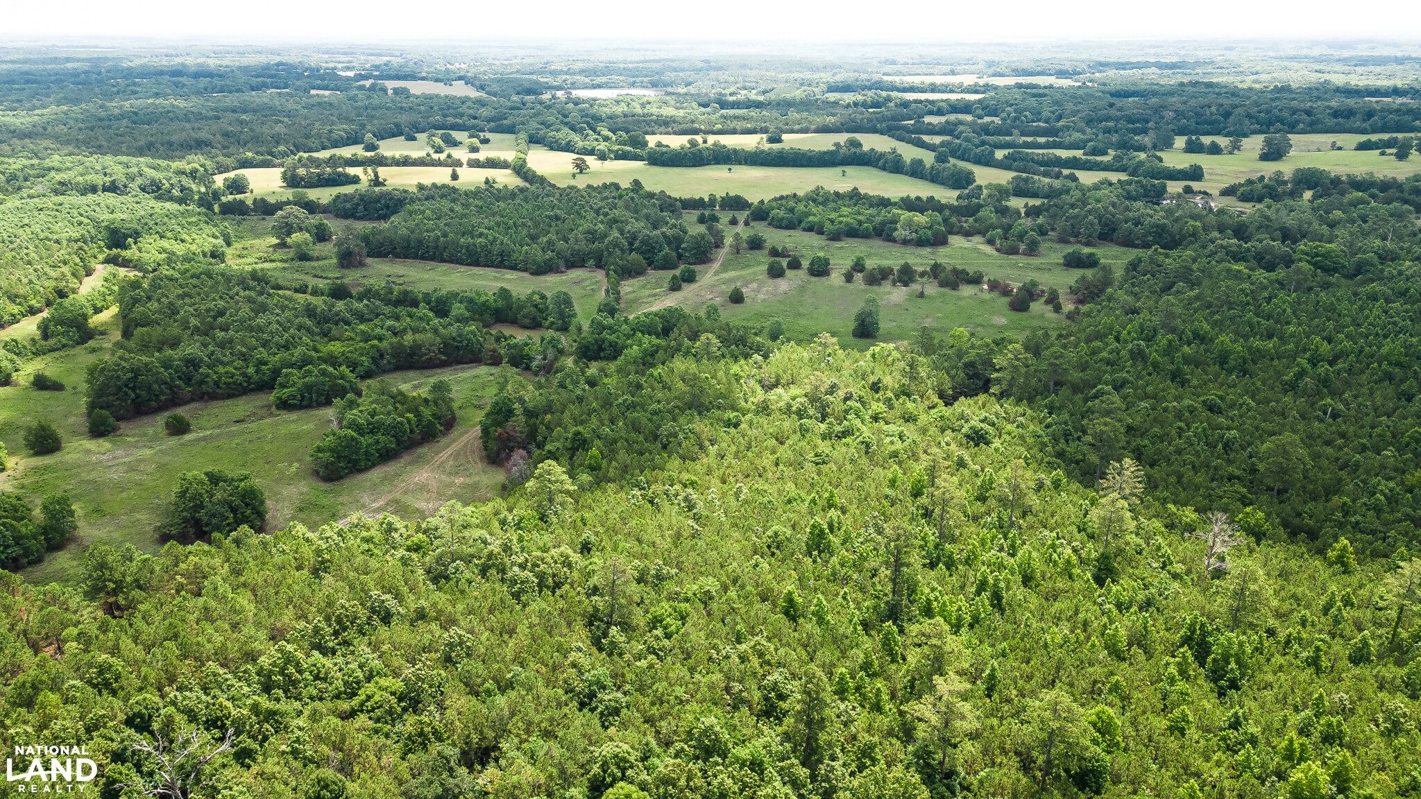 Exceptional Black Prairie Hunting & Pasture in Lowndes County ...